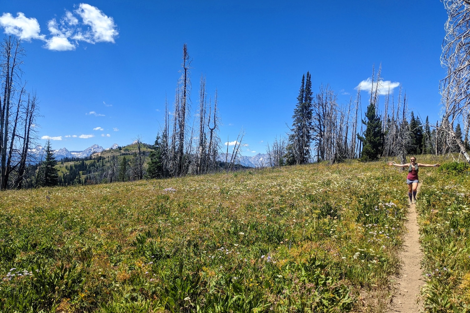 A Guide to Speed Workouts for Runners - Running Lifestyle